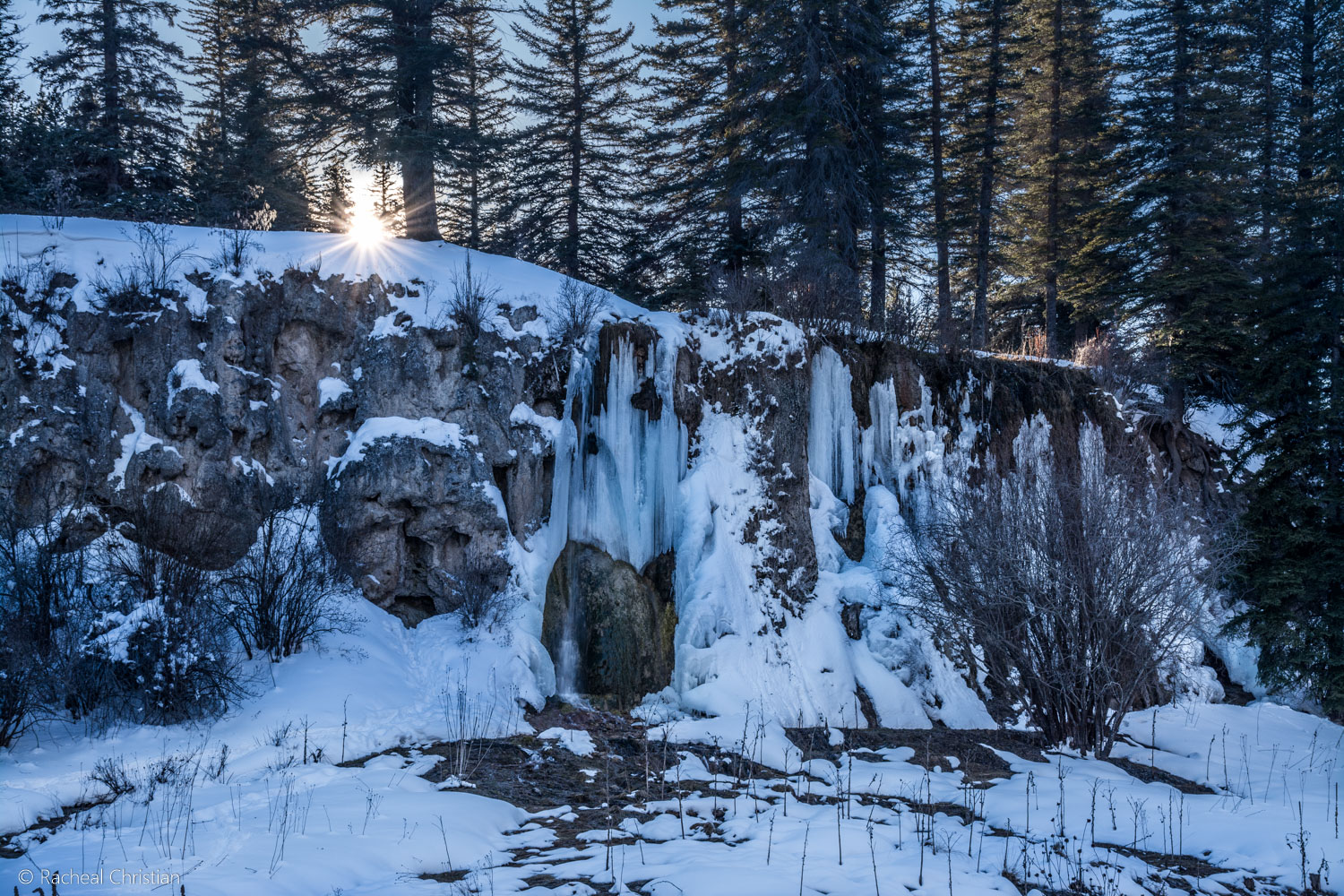 Bluff Springs | New Mexico - Racheal Christian Photography