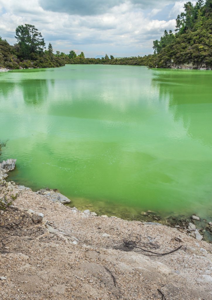 Wai-O-Tapu Thermal Wonderland | Rotorua NZ - Racheal Christian Photography